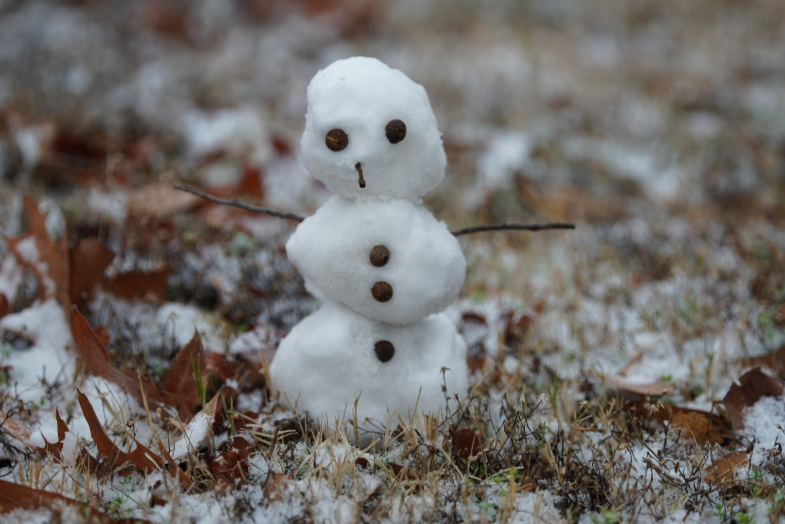 Texas Snowman | Web Development and Services from FIRESPIKE LLC - 503 ...